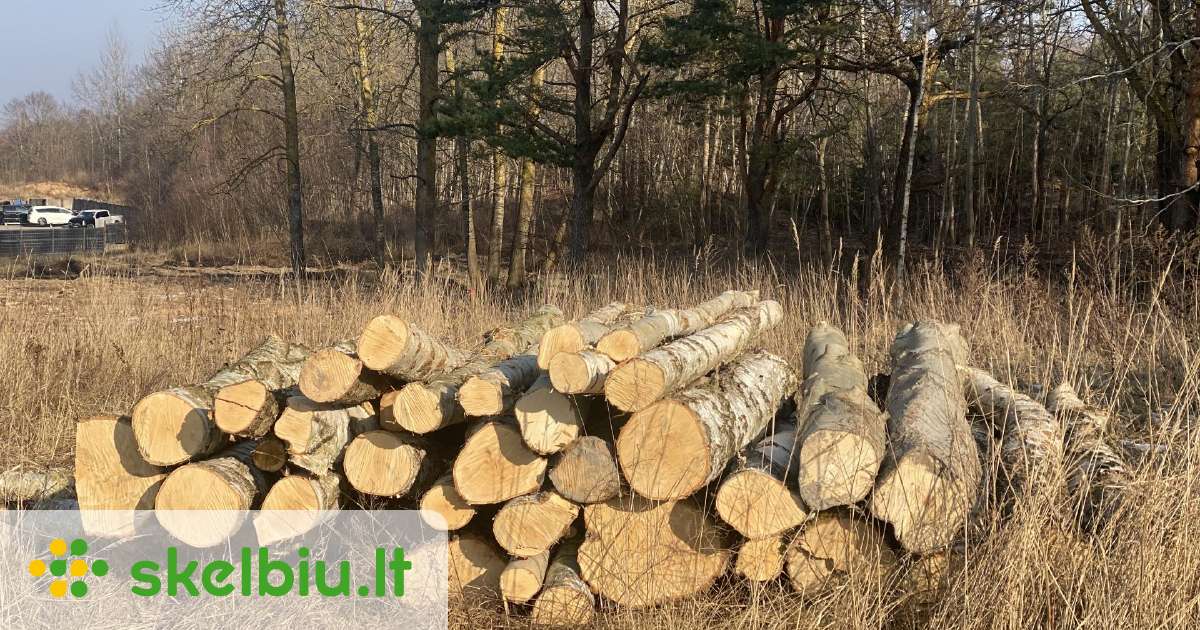 Beržiniai rastai. 7 erdmetriai. - Skelbiu.lt