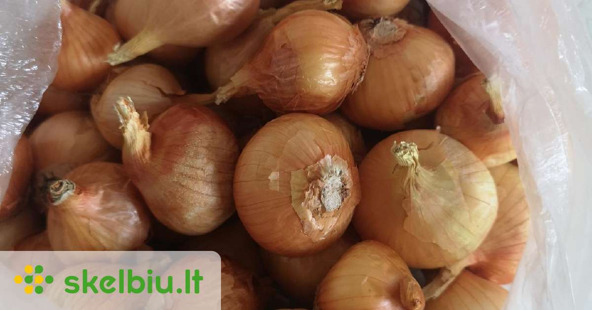 svogunai sodinukai skelbimai - Skelbiu.lt