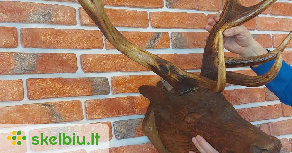 Elnio ragai - Skelbiu.lt