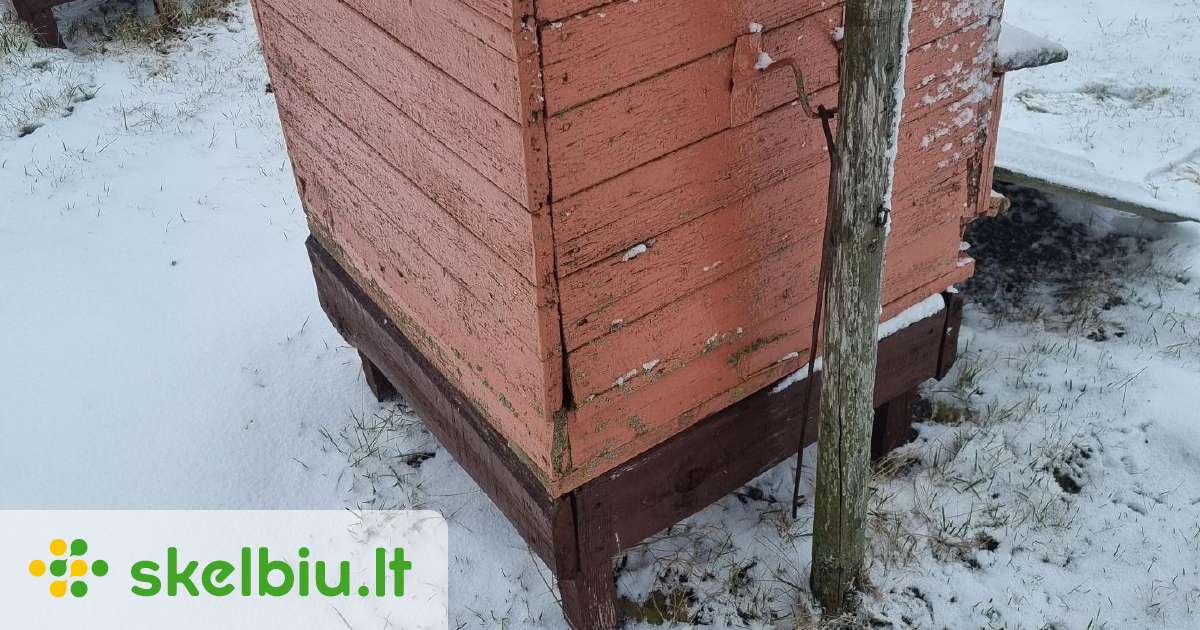 Aviliai - Skelbiu.lt