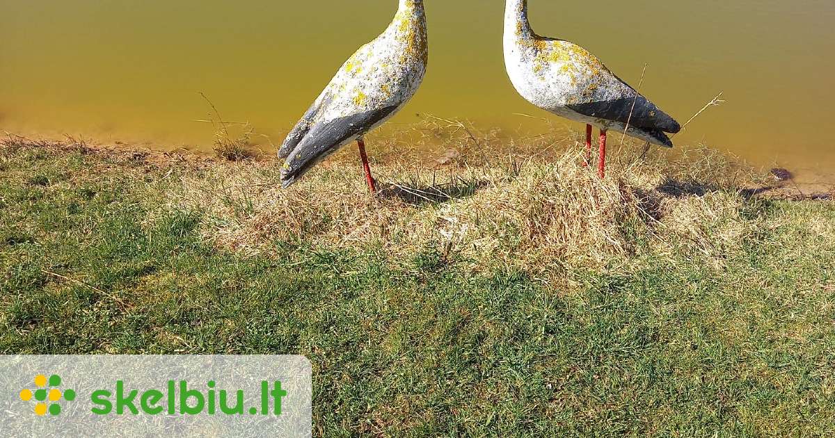 Natūralaus dydžio betoniniai gandrai - Skelbiu.lt