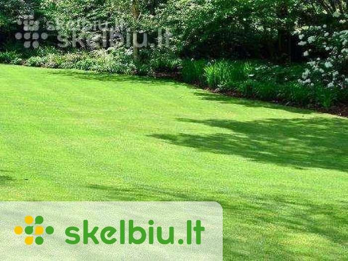 Turfline ornamental, sport, sunshine ir kita - Skelbiu.lt