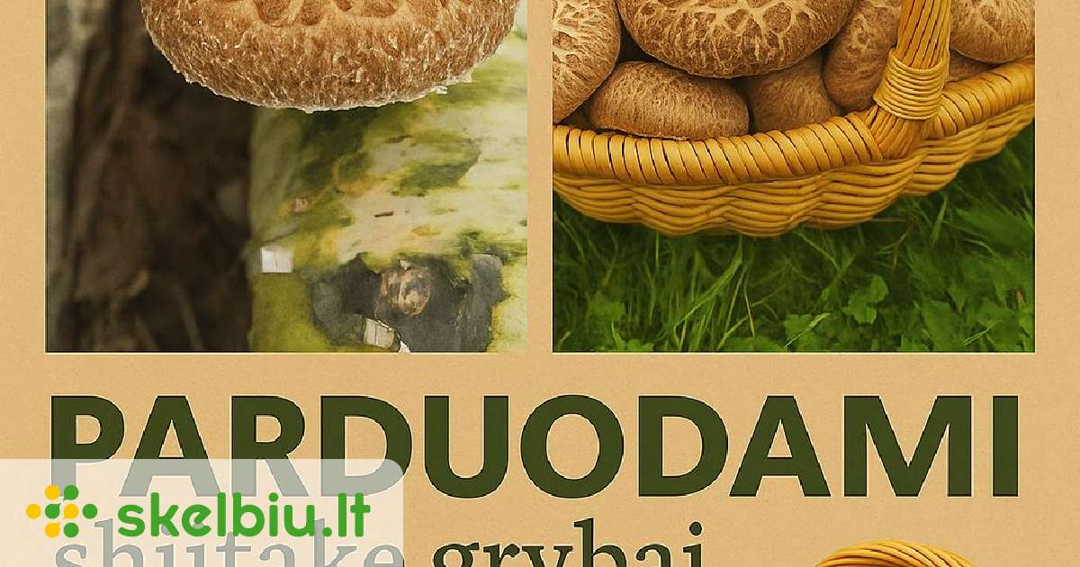grybai shiitake skelbimai - Skelbiu.lt