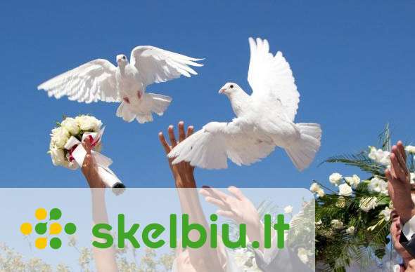 balandziai skelbimai - Skelbiu.lt