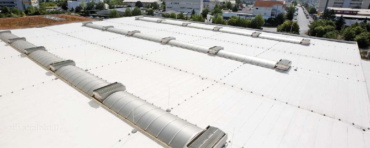 Derbibrite Nt - Skelbiu.lt