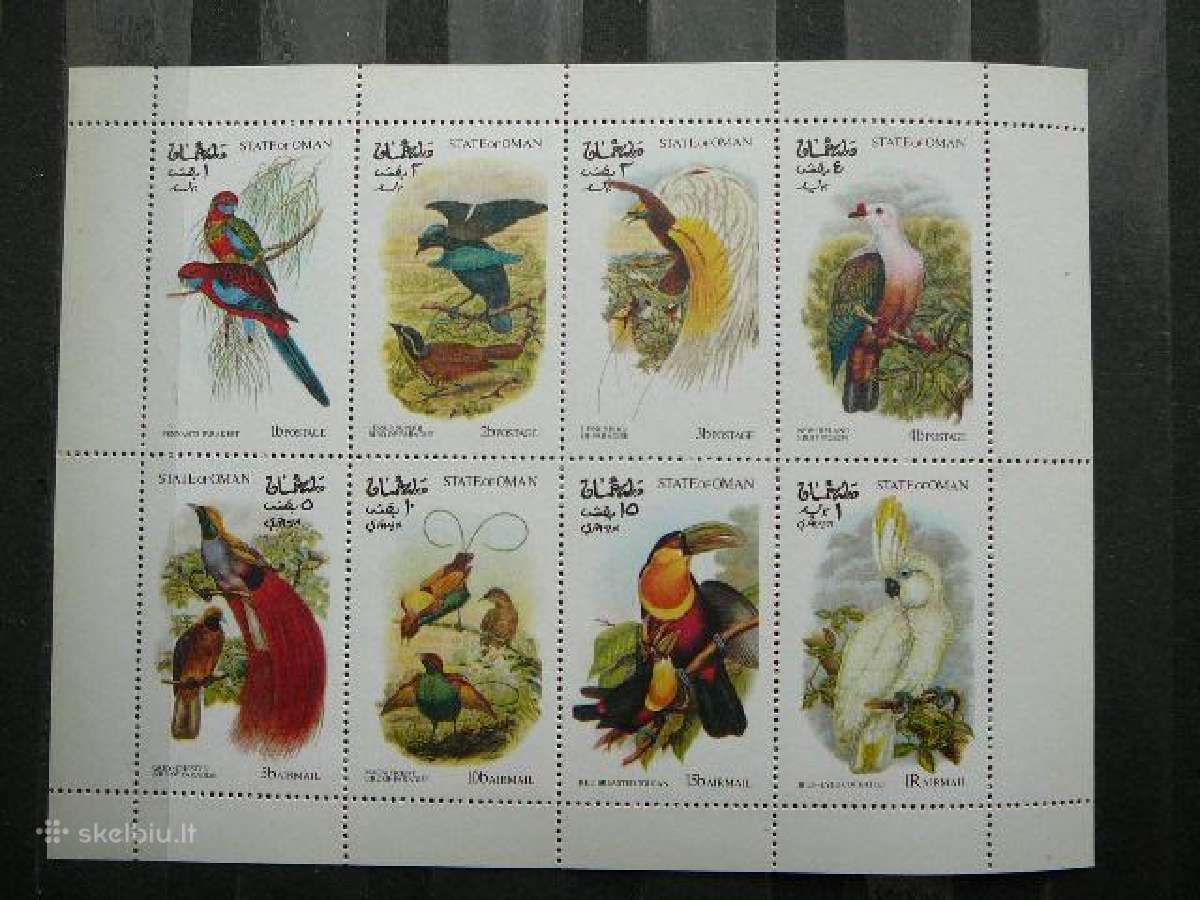 Pauksciai Papugos Omanas svarus omn18s - Skelbiu.lt