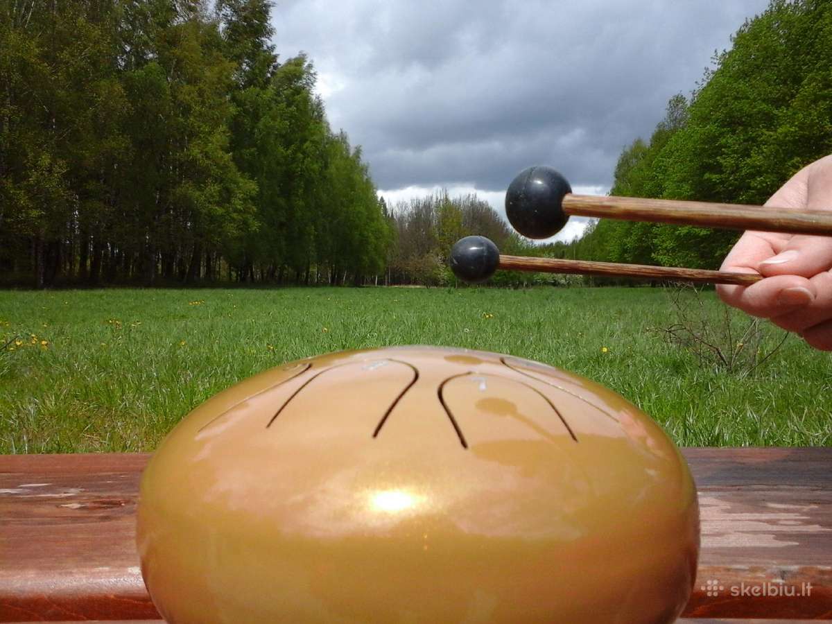 Steel Tongue Drum - Liezuvinis plieno bugnas - Skelbiu.lt