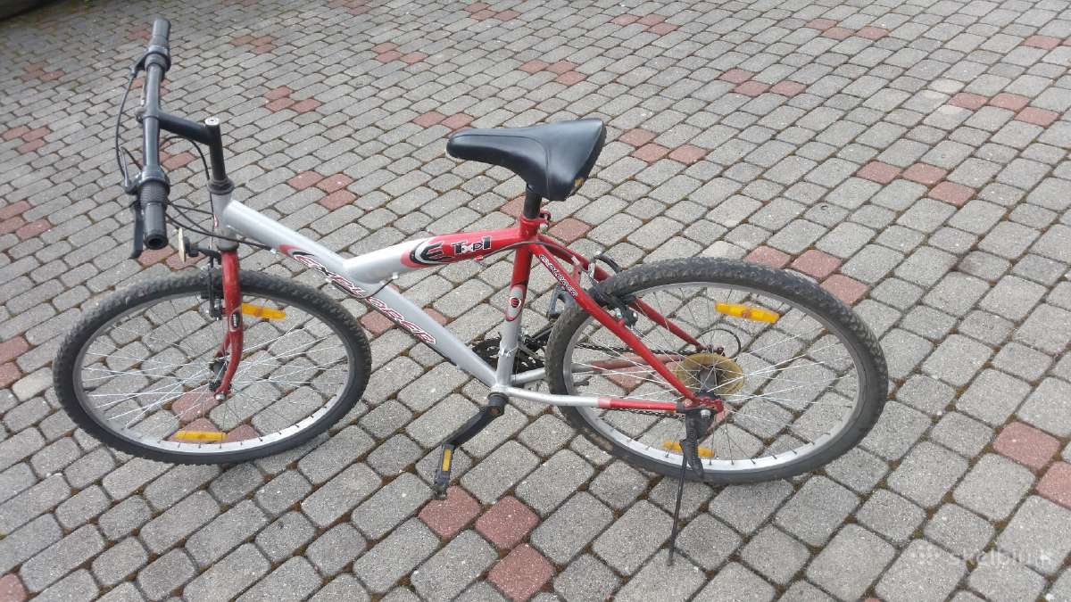 Dviratis - Skelbiu.lt