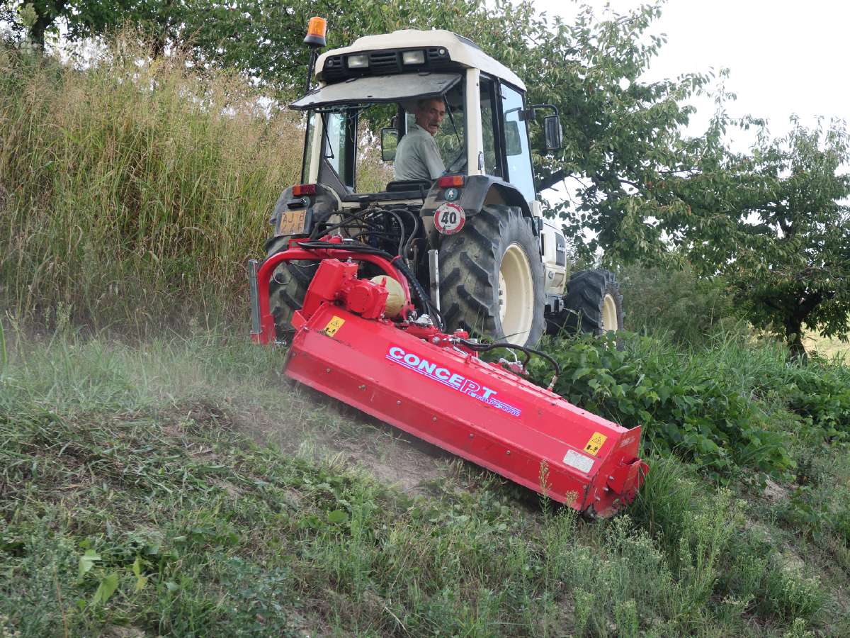 Concept Perugini CS XS ES DS BS, сенокосилки / измельчители 2022 m ...