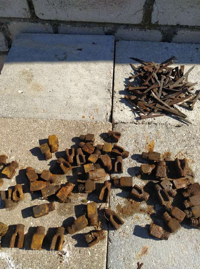 Arkliu pasagu grifai - Skelbiu.lt