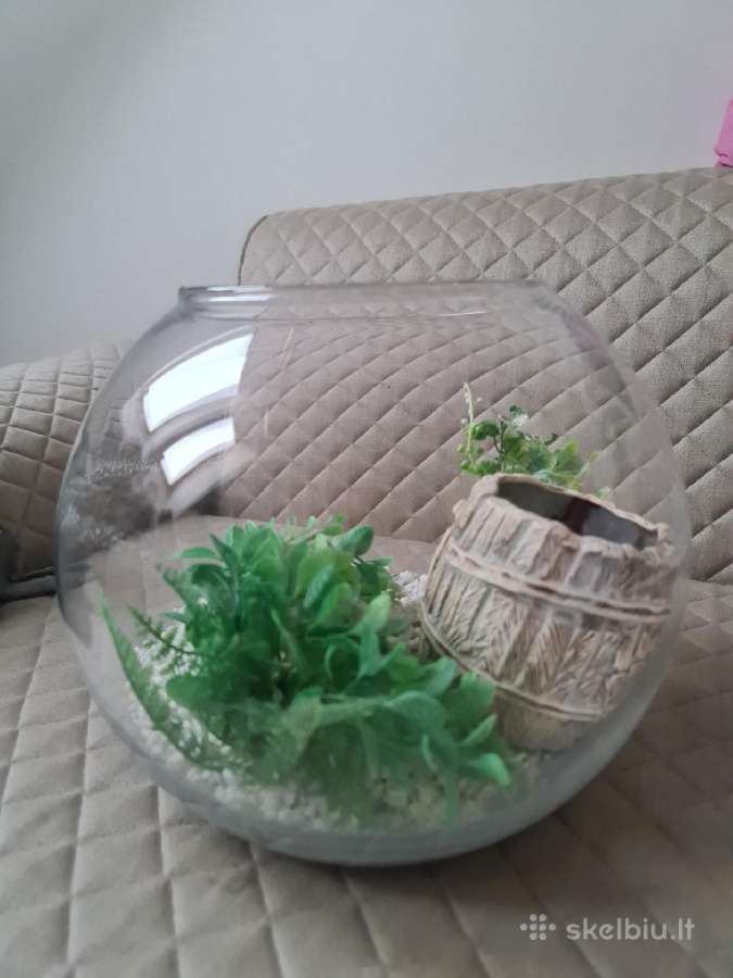 Apvalus akvariumas - Skelbiu.lt