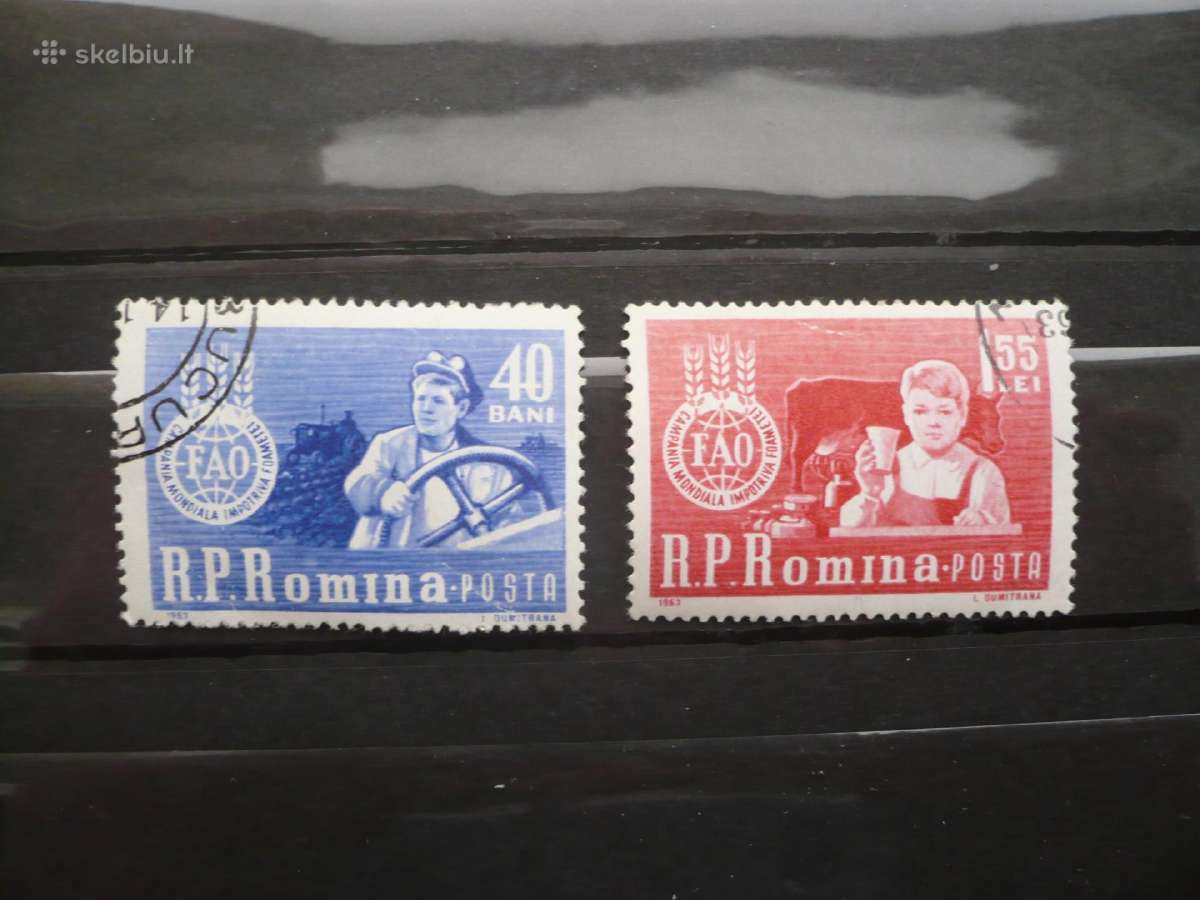 1963 m. kova su badu - Skelbiu.lt