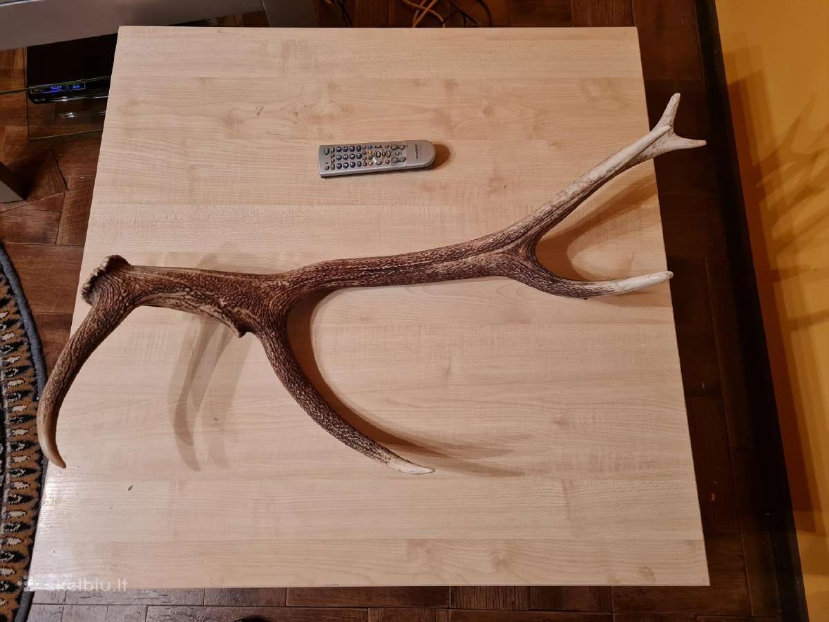 Elnio ragai - Skelbiu.lt