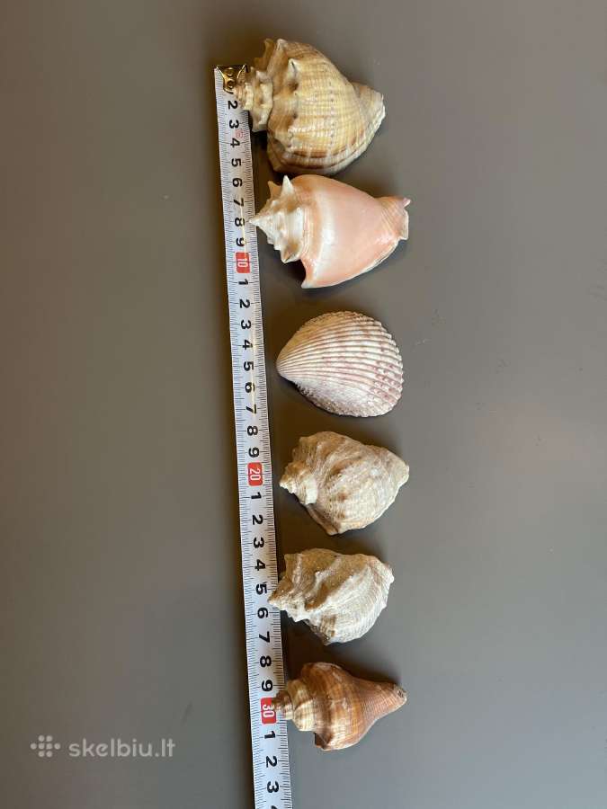 Kriaukles - Skelbiu.lt