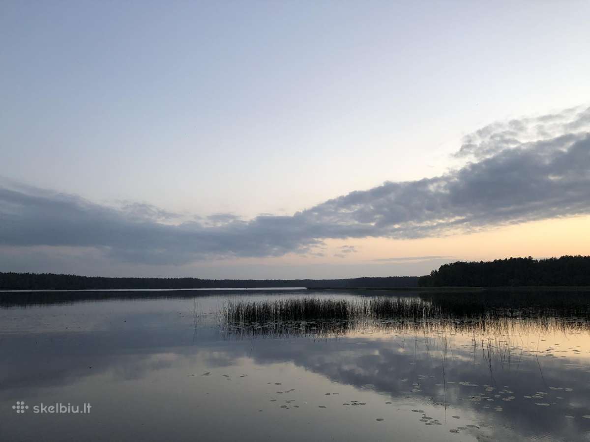 Parduodamas miškų ūkio sklypas su ežero pakrante - Skelbiu.lt