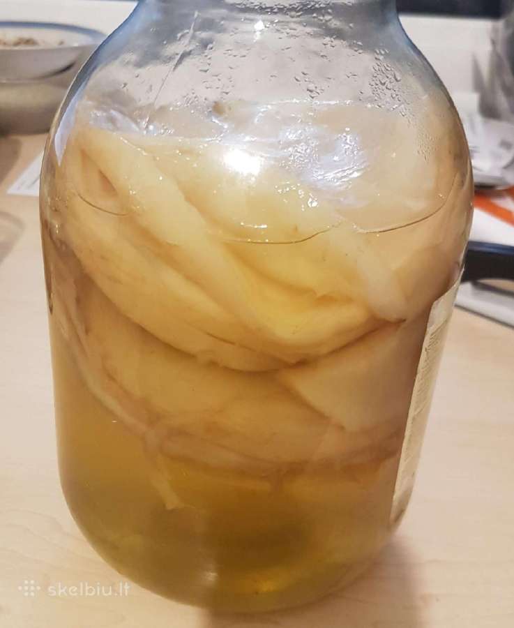 Kombucha arbatos grybas - Skelbiu.lt