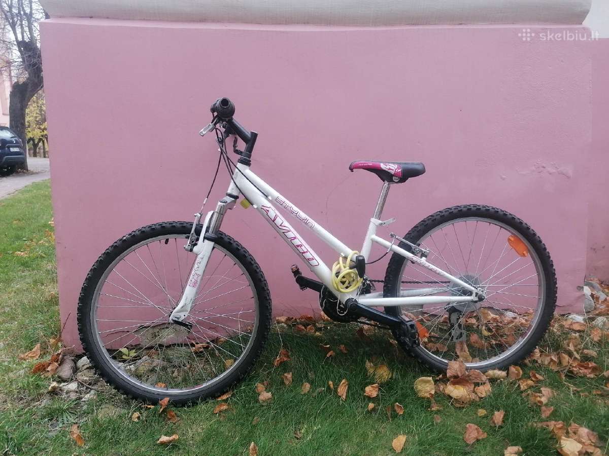 Dviratis - Skelbiu.lt