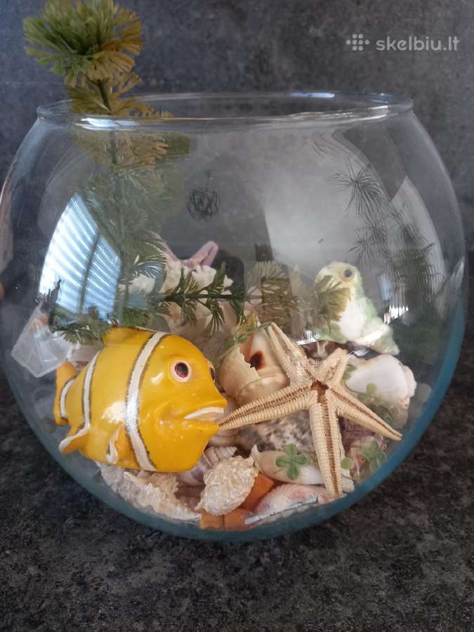 Akvariumas - Skelbiu.lt