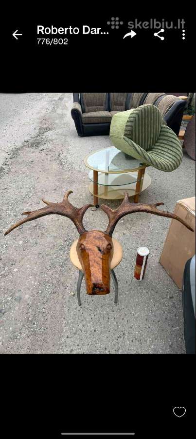 Briedžio ragai - Skelbiu.lt