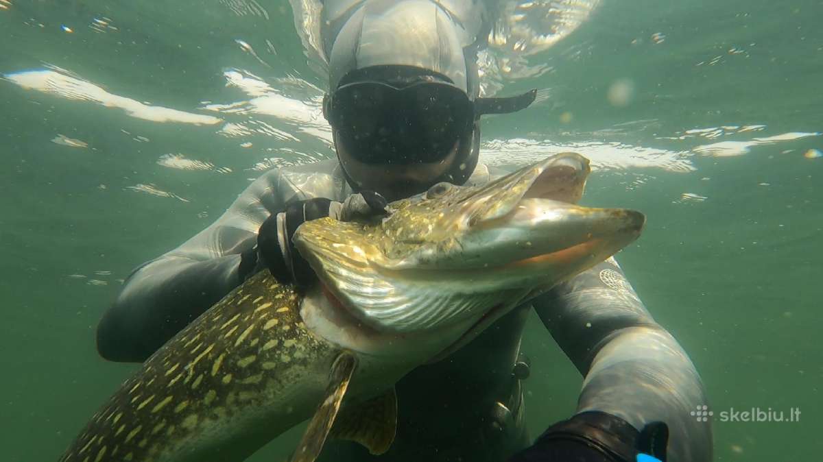 Medžioklės kursai Lietuvoje - Skelbiu.lt
