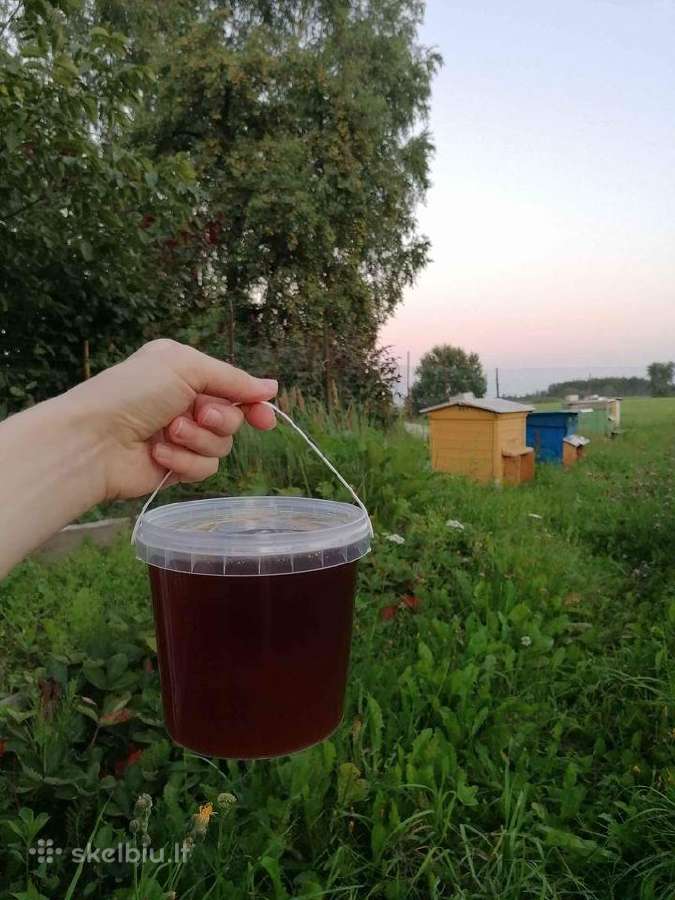 Natūralus medus - Skelbiu.lt