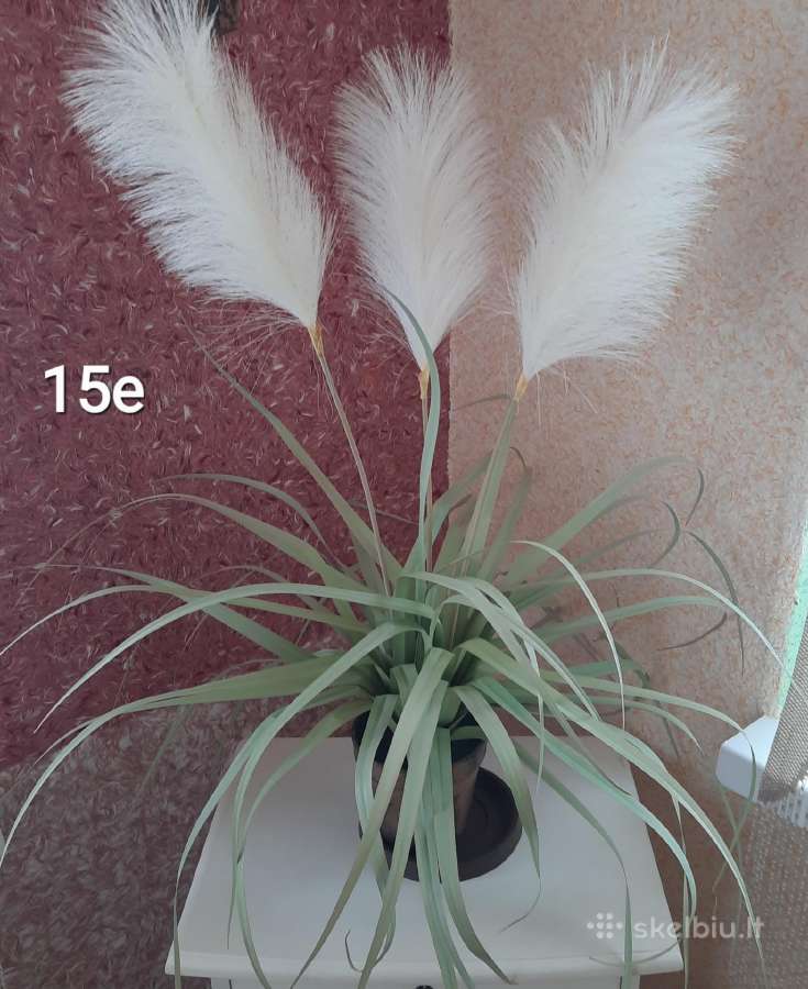 Dirbtinės gėlytės vazonėliuose - Skelbiu.lt