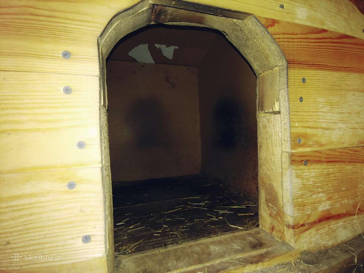 Šuns būda - Skelbiu.lt