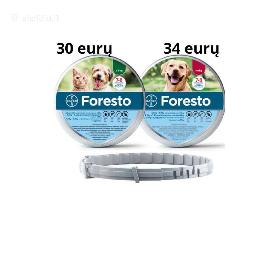 Foresto antkaklis - Skelbiu.lt