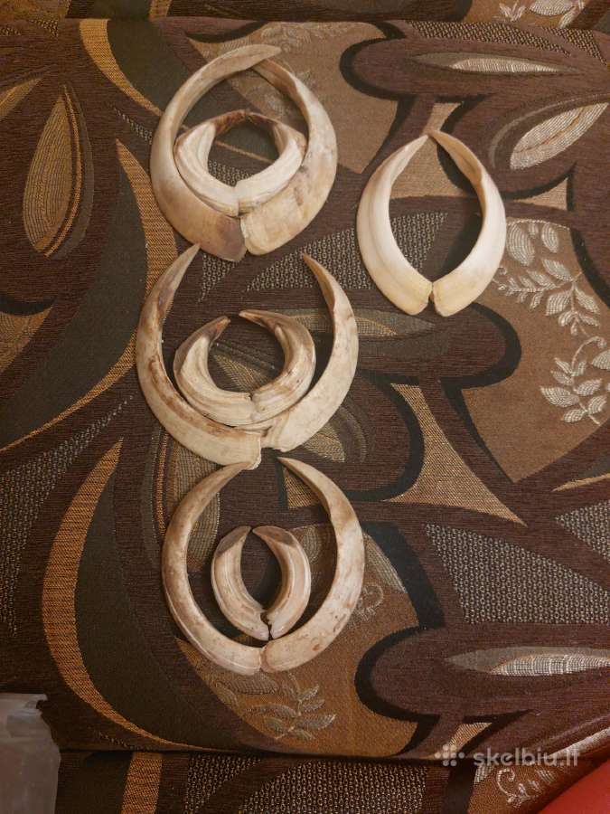 Šerno iltys - Skelbiu.lt