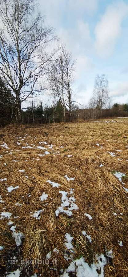 Žemės paskirties sklypas SB riešutas - Skelbiu.lt