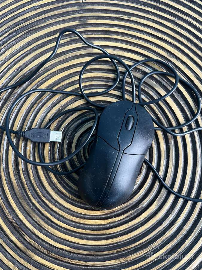 Kompiuterio pele / pelyte - Skelbiu.lt