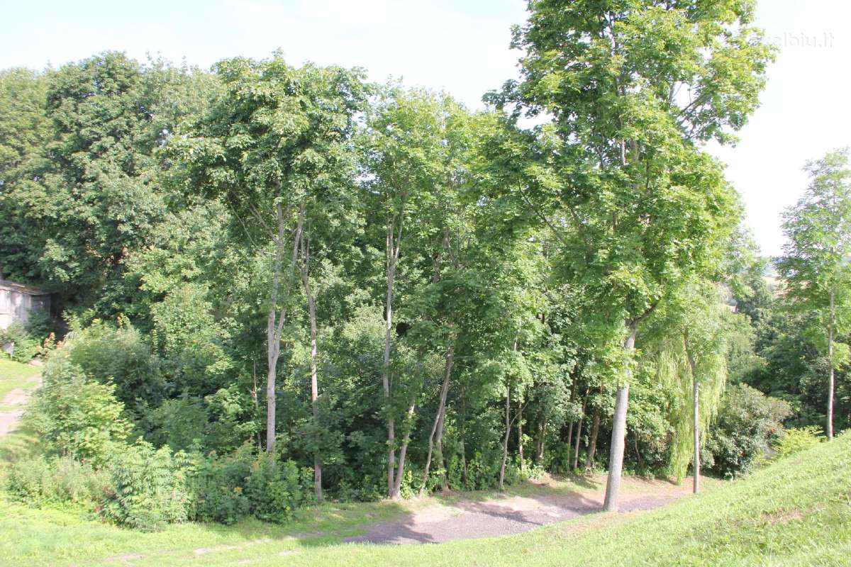 Sklypas, Jurbarko r. Seredžiaus mstl. P. Virako g. sklypas Nekilnojamo ...