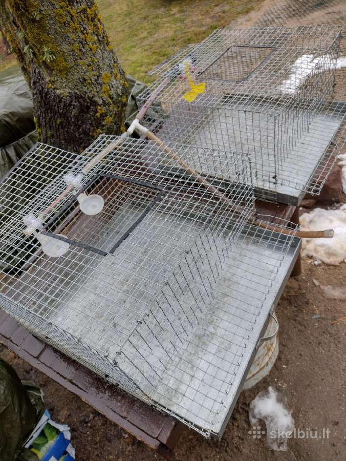 Narvas putpelėms laikyti - Skelbiu.lt