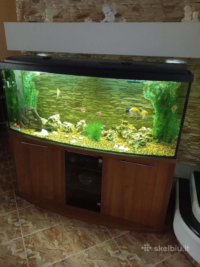 Akvariumas - Skelbiu.lt