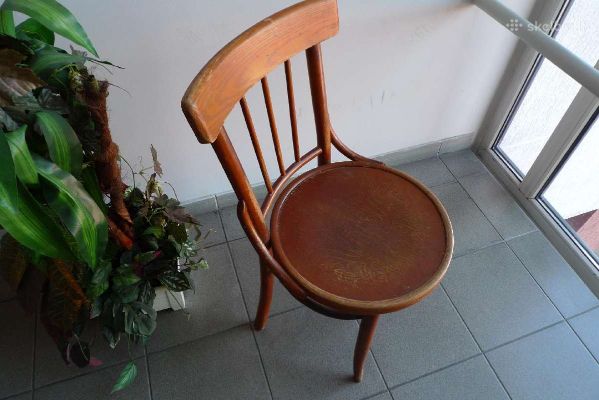 Medine kede tvirta - Skelbiu.lt