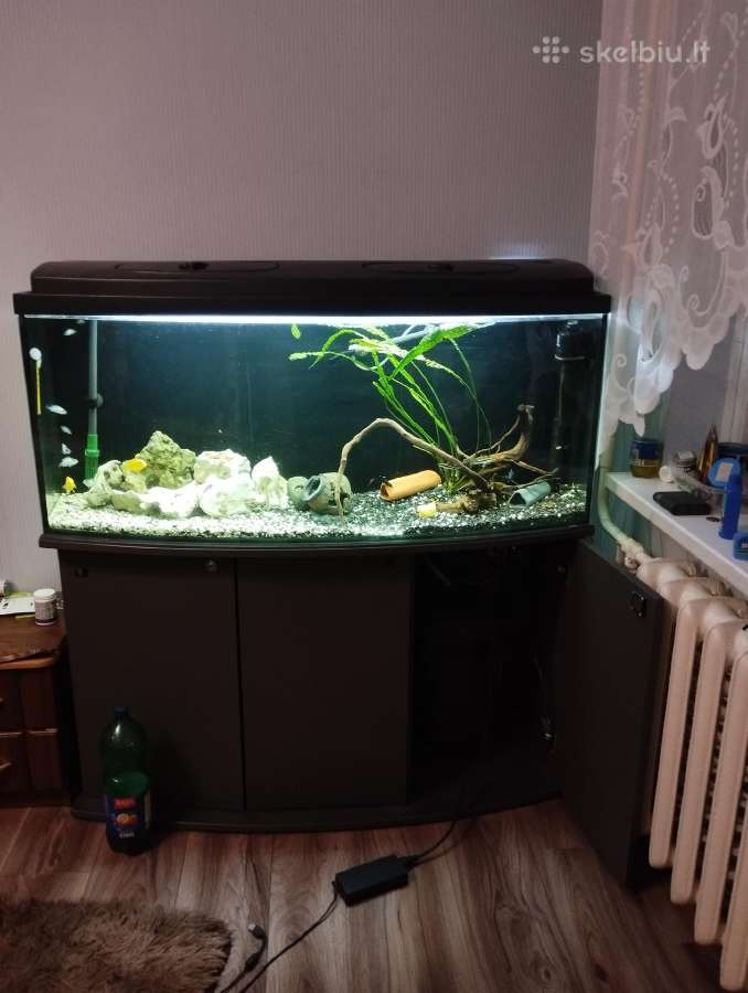Akvariumas 200l+ - Skelbiu.lt