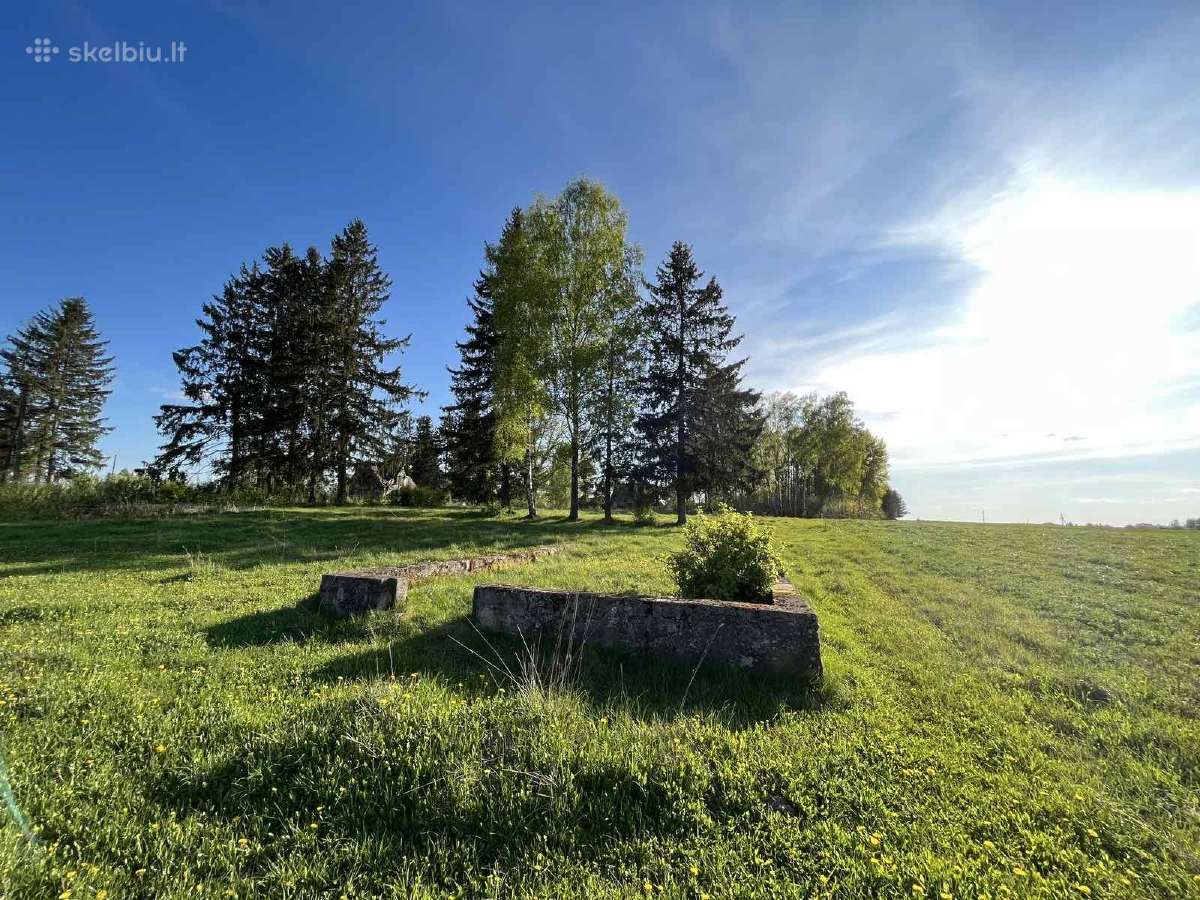 Namas, Rokiškio r. Duokiškio mstl. Kazimiero Paunksnio g., medinė ...