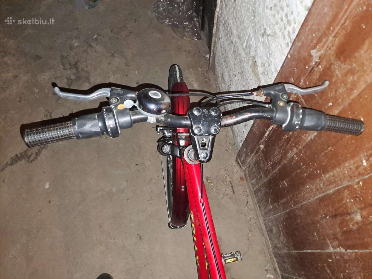 Dviratis - Skelbiu.lt