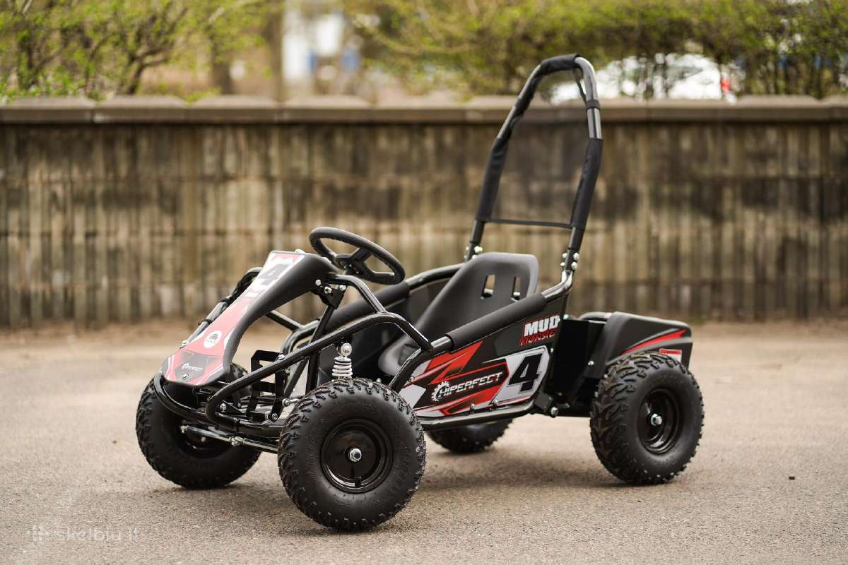 Elektrinis Bagis 1000w 48v. Naujas - Skelbiu.lt