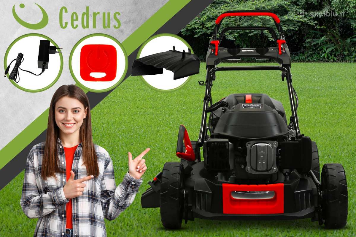 Cedrus 53cm Y196v 3in1 Su El.starteriu - Skelbiu.lt