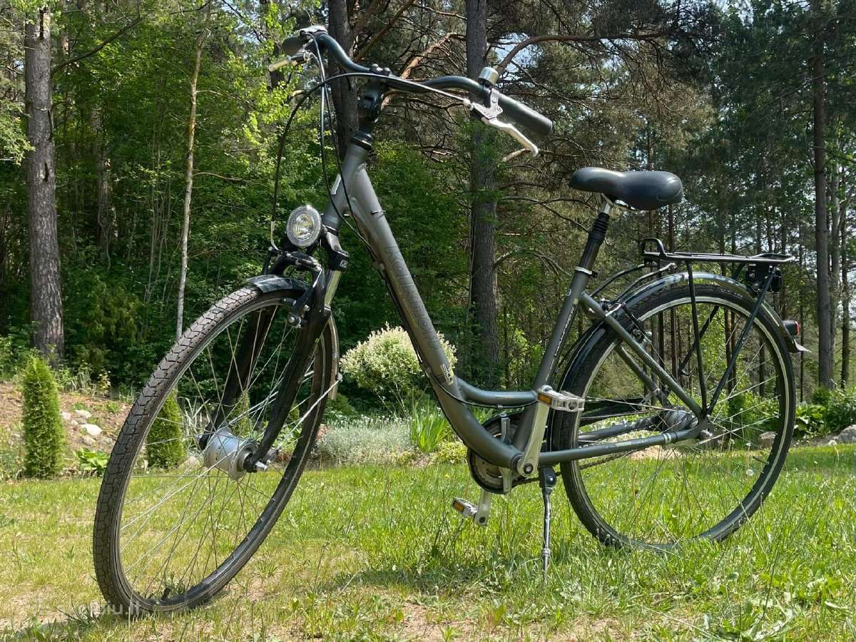 Dviratis - Skelbiu.lt