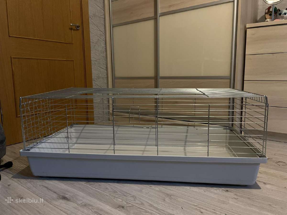 Narvas Graužikams - Skelbiu.lt