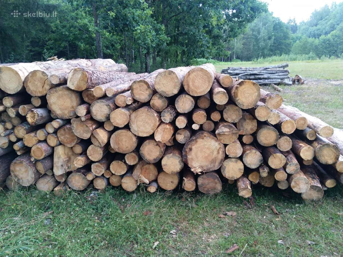 Malkos,atraižos - Skelbiu.lt