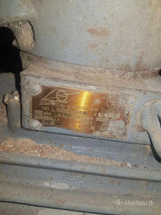 Zeimeris oblius - Skelbiu.lt