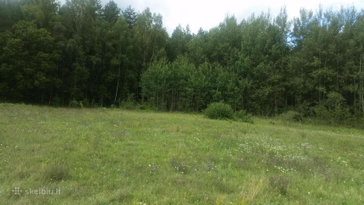 Miškas su pieva Molėtų rajone - Skelbiu.lt