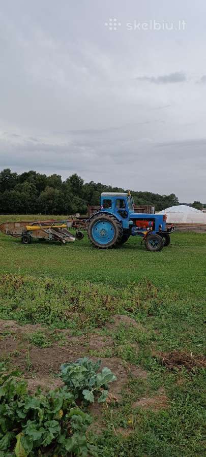 Traktorius T-40 ir bulvių kasama - Skelbiu.lt