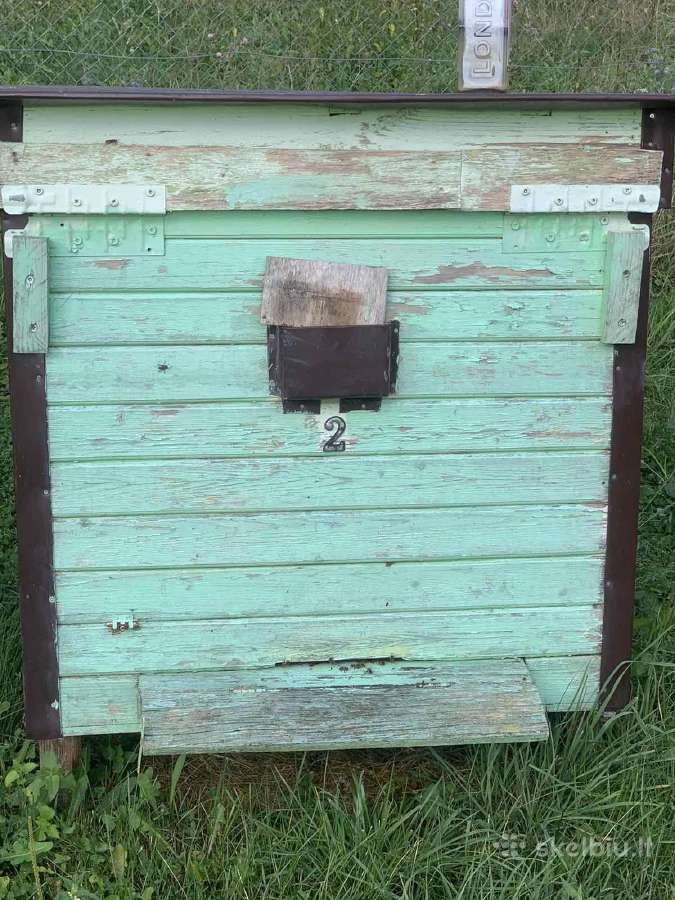 Parduodami Aviliai su Bitėmis - Skelbiu.lt