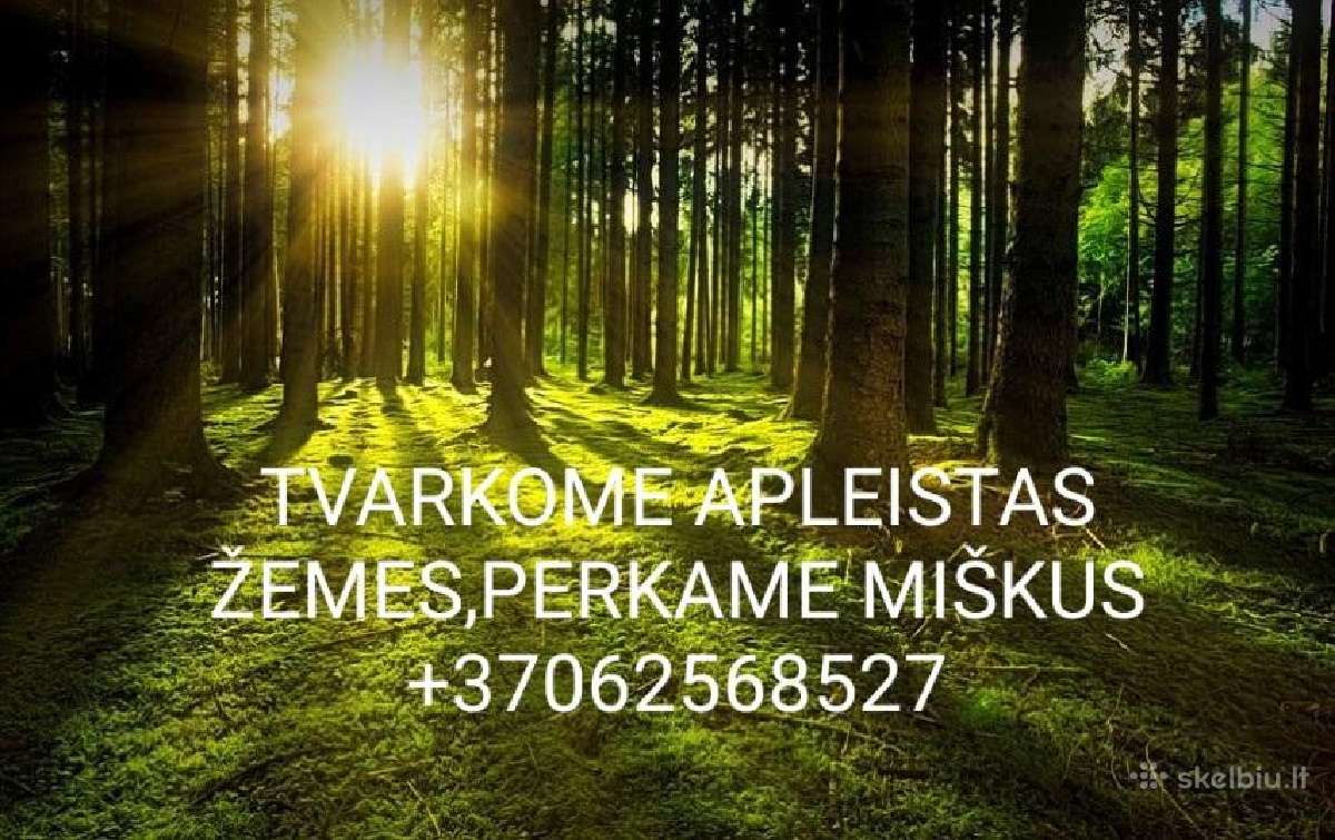 Sklypų tvarkymas - Skelbiu.lt