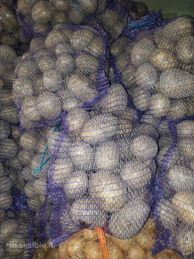 Parduodu valgomas bulves - Skelbiu.lt