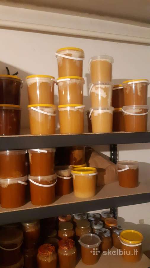 Naturalus lietuviškas liepų, grikių, pievų medus - Skelbiu.lt